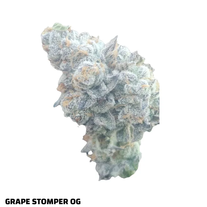 Cannabis Store in Port Elizabeth | Dazed and Blazed