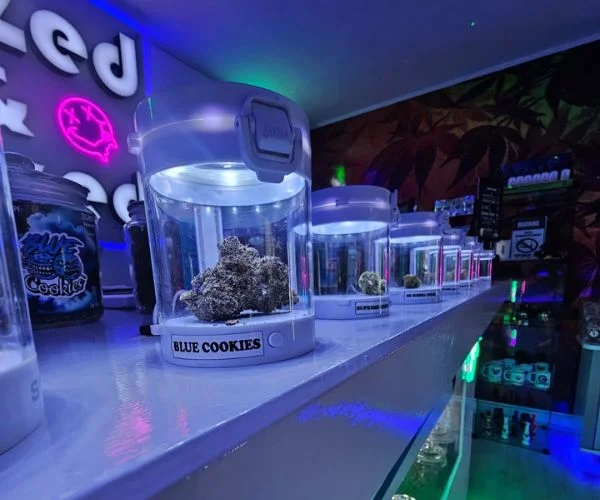 Cannabis Store in Port Elizabeth | Dazed and Blazed