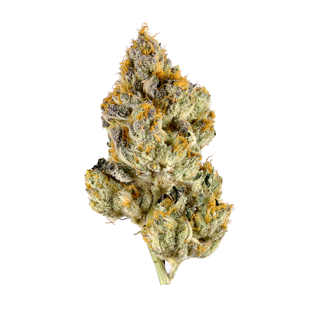 OGC - Cannabis Store in Port Elizabeth